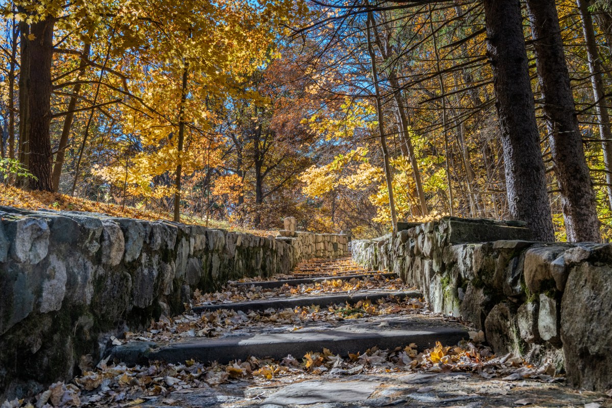 Photo of the Week: Richfield County Park in Fall – 1836 Place